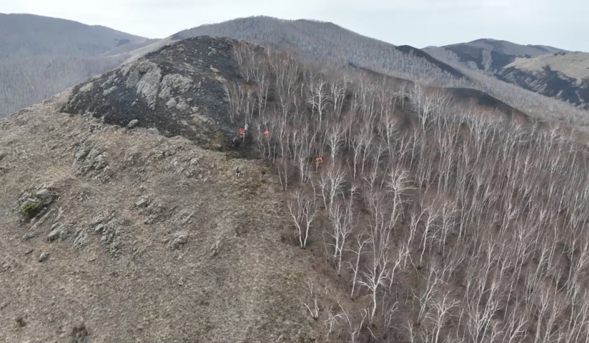Сэлэнгэ аймгийн Зүүнбүрэн суманд гарсан ойн түймрийг бүрэн унтраажээ