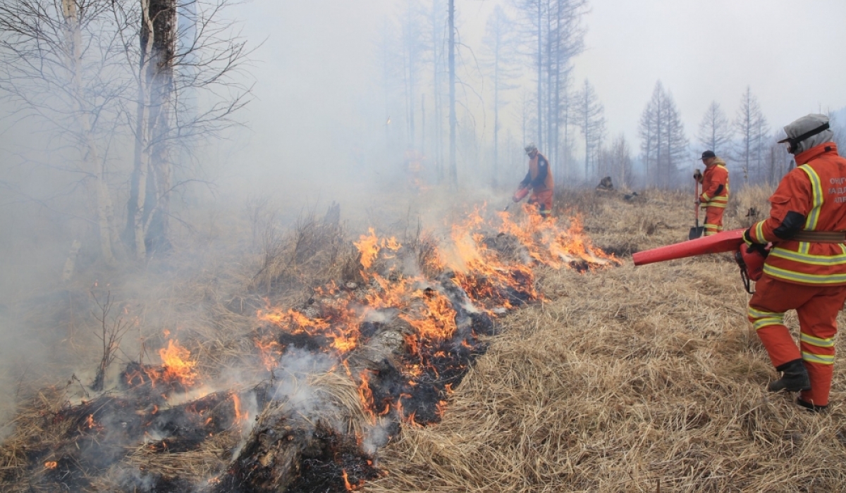 Ой хээрийн түймрийн өртөх байдлыг тодорхойлоход 7 8 хувь нь маш өндөр байна